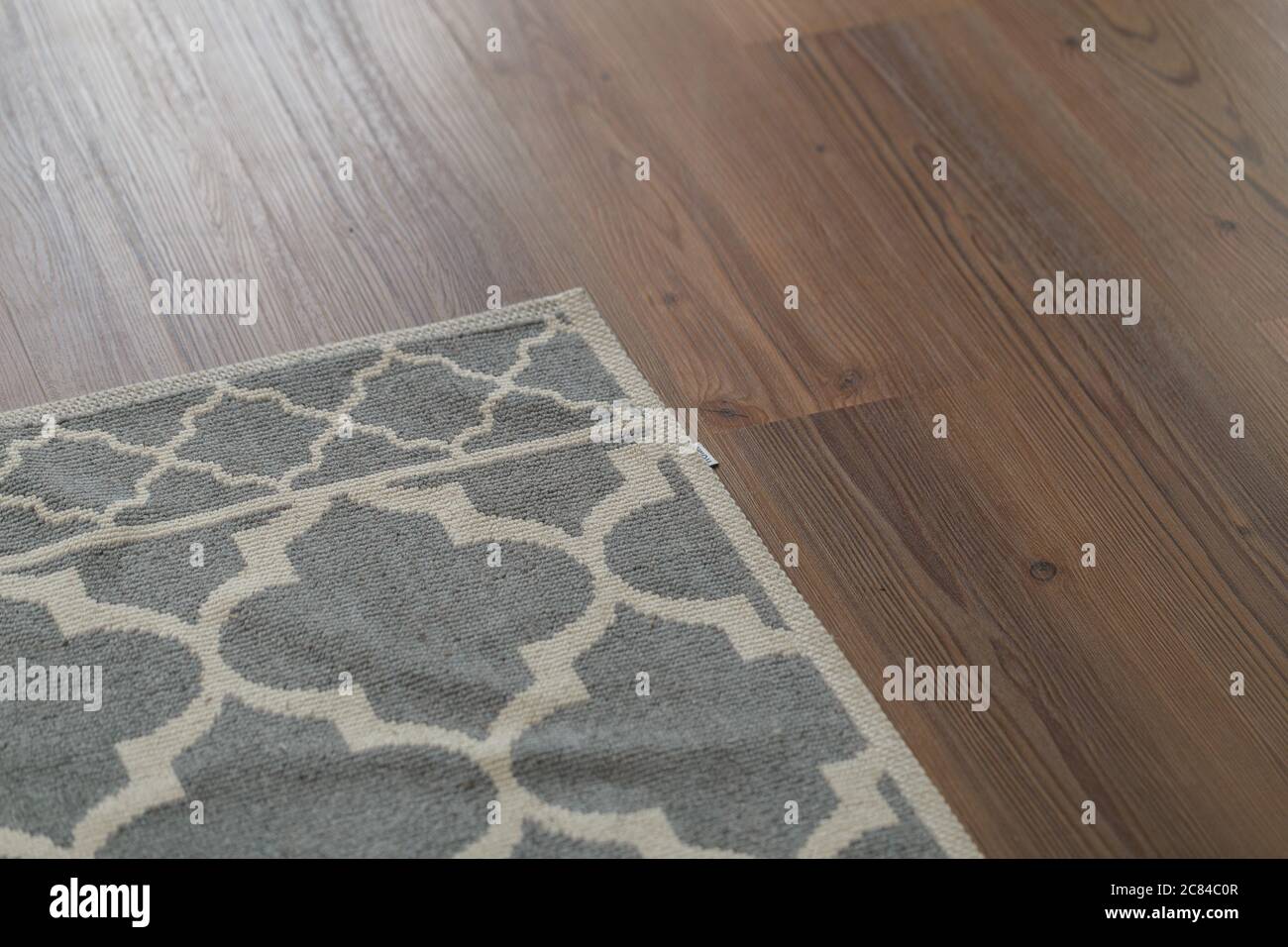 Close-up carpet on laminate wood floor in living room, interior ...