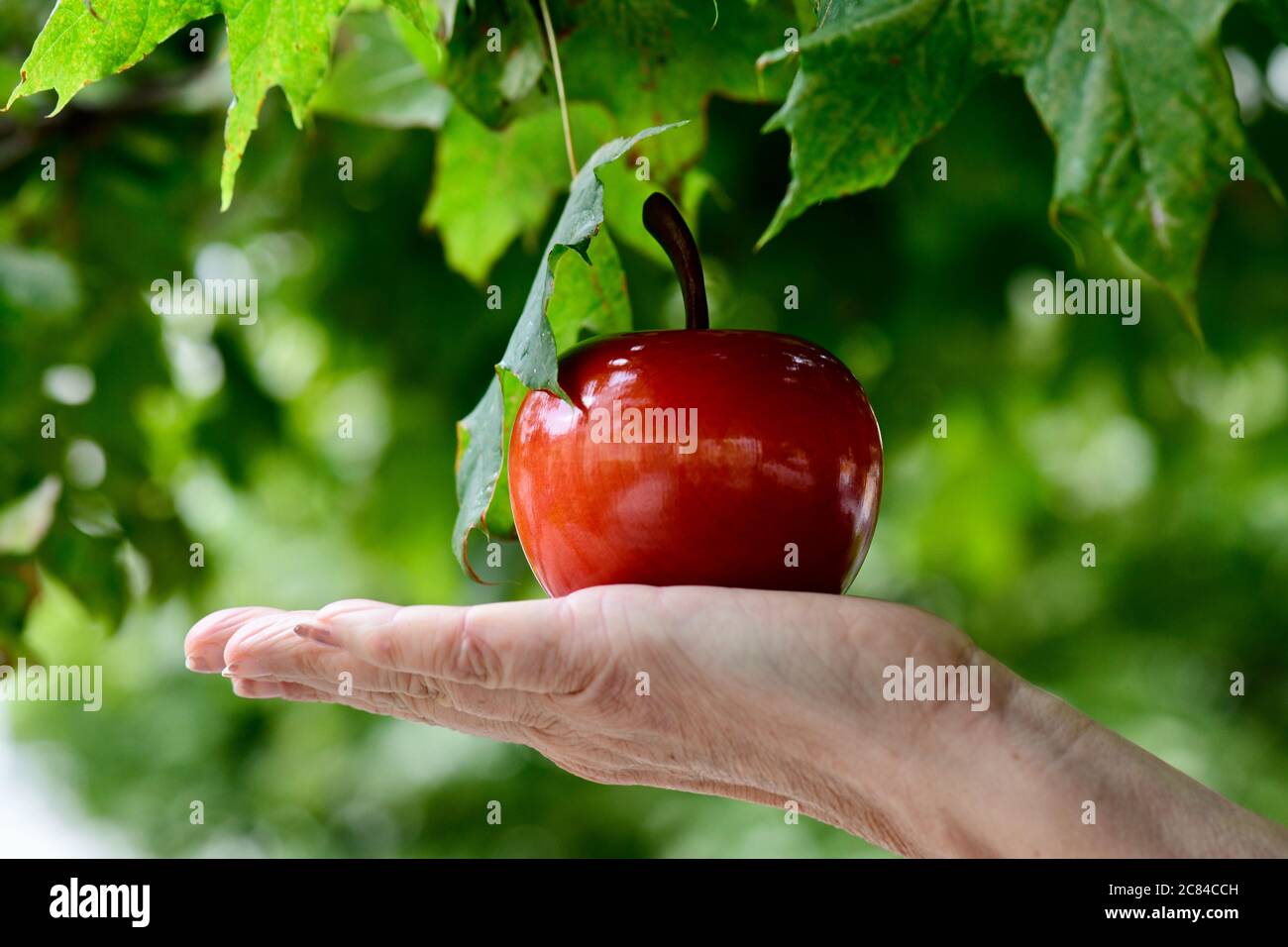 Close-up of apple Stock Photo - Alamy