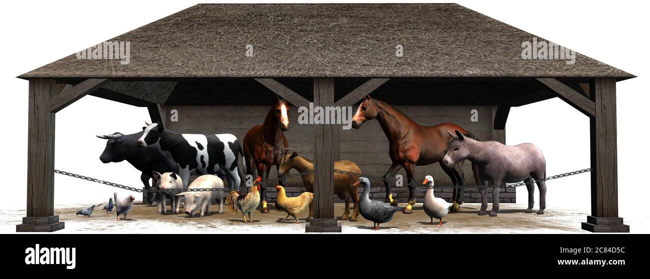 a group of different farm animals - isolated on white background Stock ...