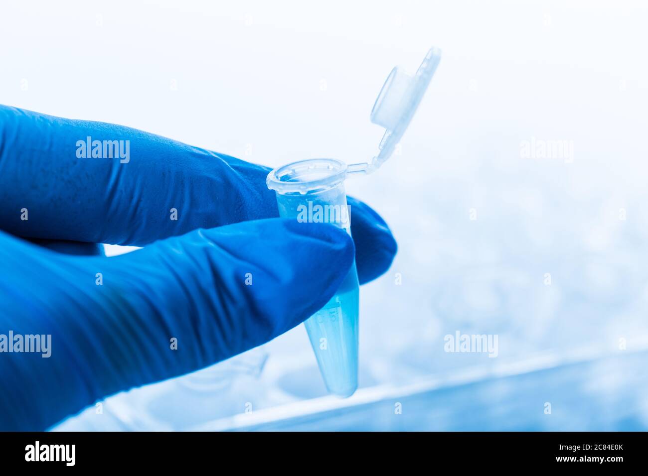 hand and scientific laboratory test tubes in a research laboratory ...