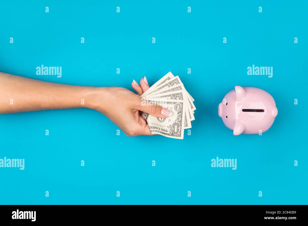 female hands put money in a piggy bank on a blue background ...