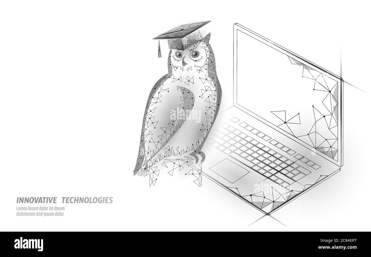 Owl bird symbol of wise education. E-learning distance concept ...
