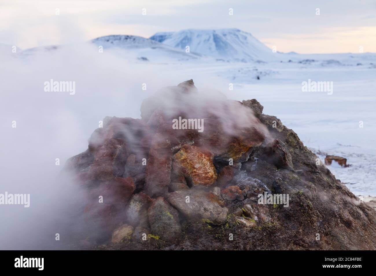 Fumaroles, Geothermal area, Myvatn, North Iceland, Iceland, Europe ...