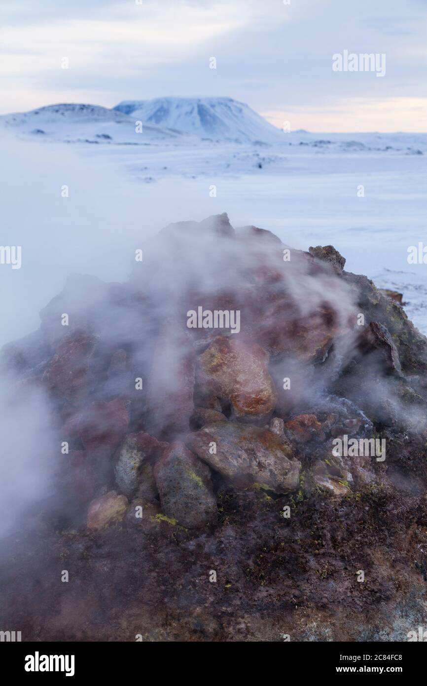 Fumaroles, Geothermal area, Myvatn, North Iceland, Iceland, Europe ...