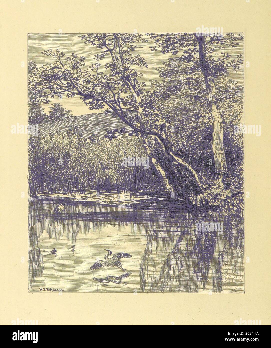 Pictorial effect hi-res stock photography and images - Alamy