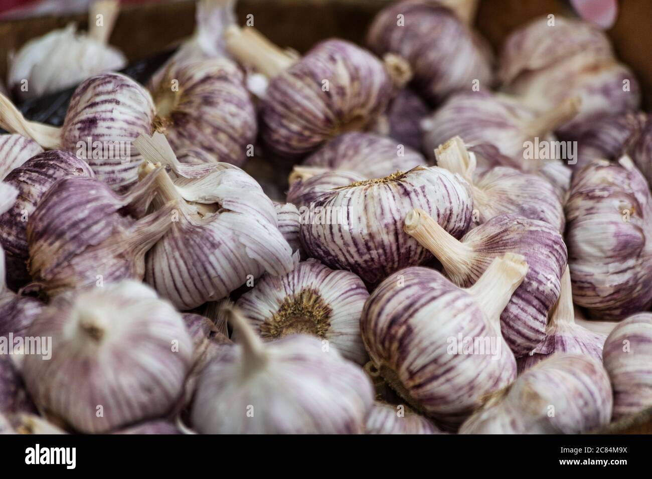 Garlic bulbs at a market in Basel, Switzerland Stock Photo - Alamy