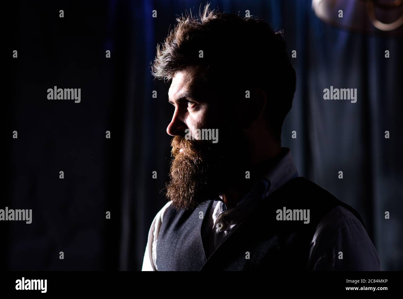Bearded young man. Bearded lawyer in a suit and bow tie. Men's emotions ...