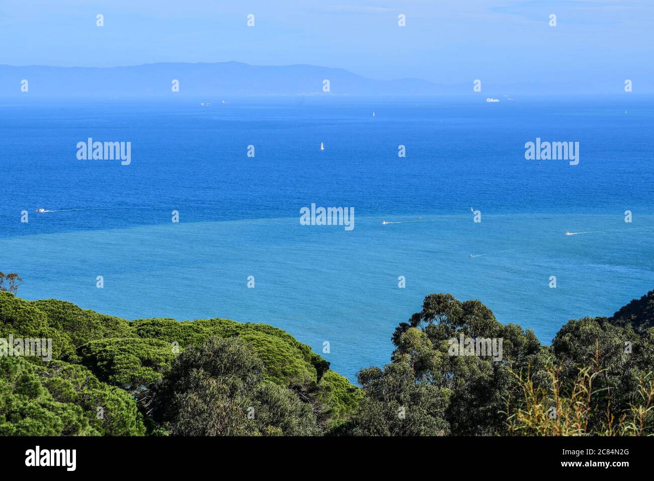 Morocco: the Strait of Gibraltar viewed through stone pines on the ...