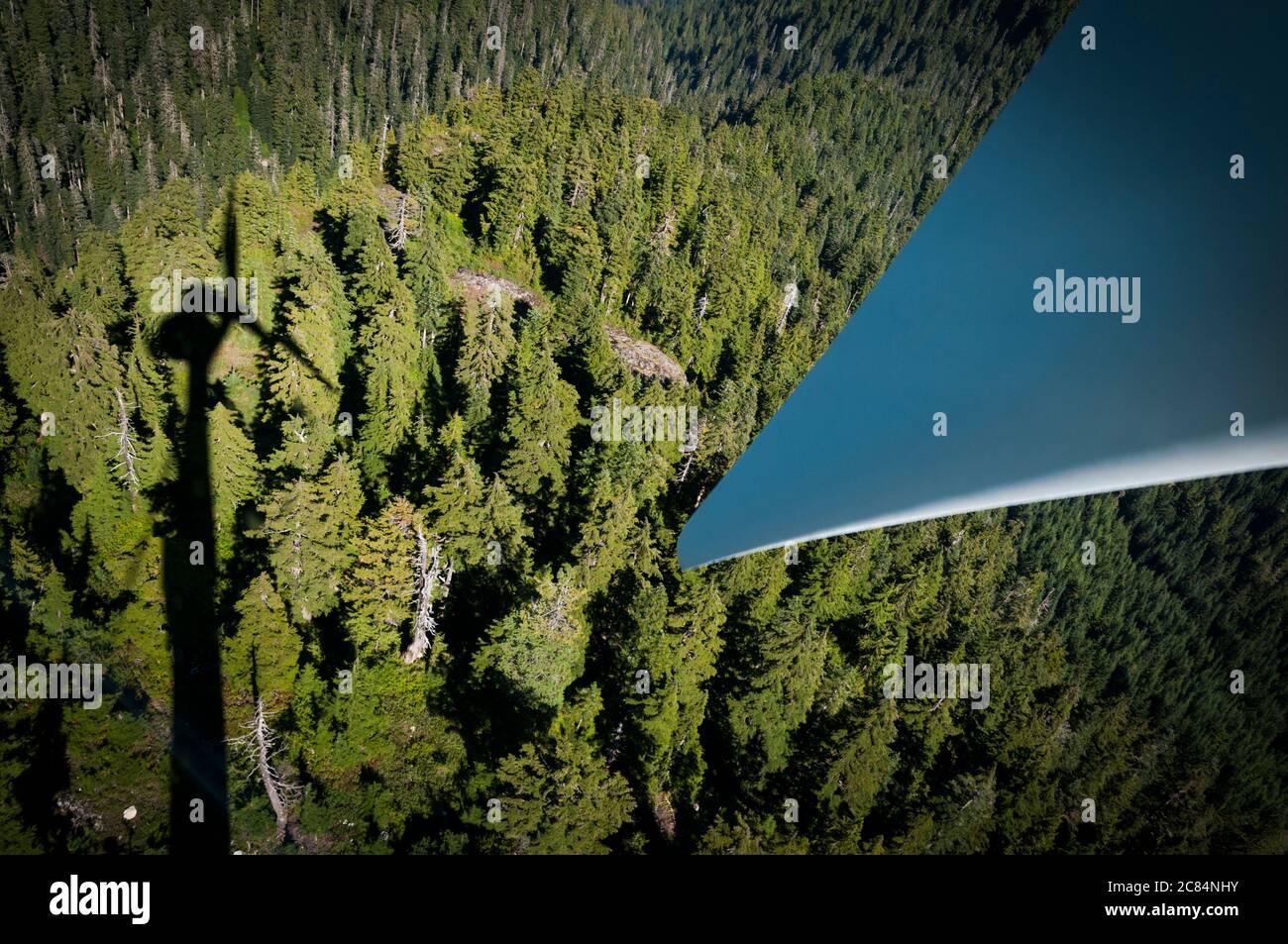 Eye the wind hi-res stock photography and images - Alamy