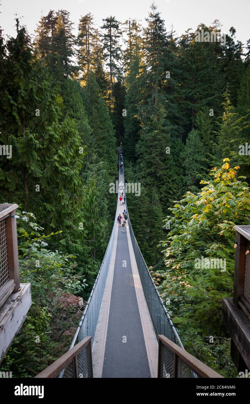 Capilano Suspension Bridge, Vancouver, British Columbia, Canada Stock ...