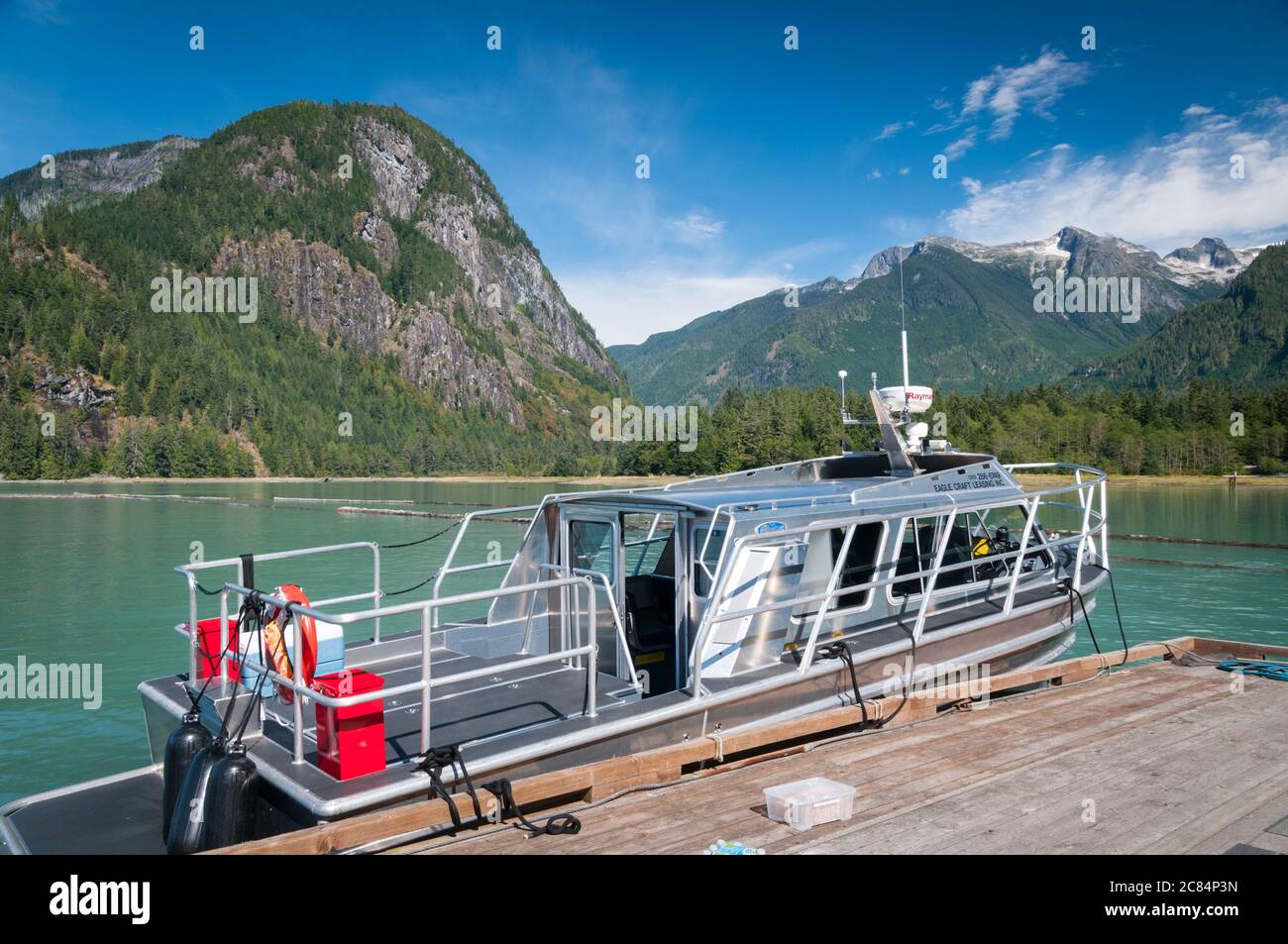 Eagle 44, Orford River, British Columbia, Canada Stock Photo - Alamy