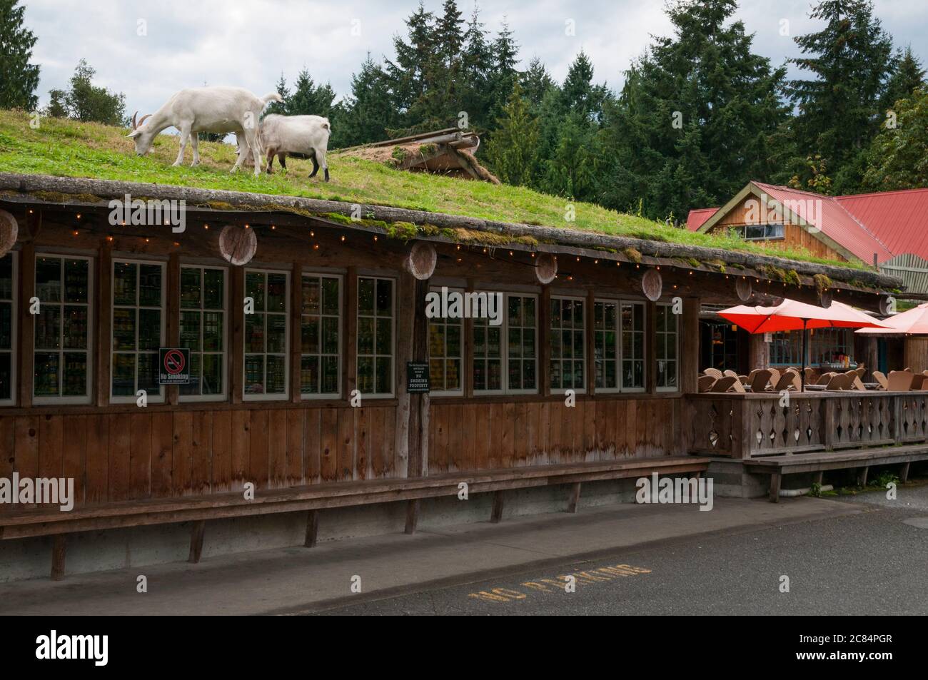 Goats on roof hi-res stock photography and images - Alamy