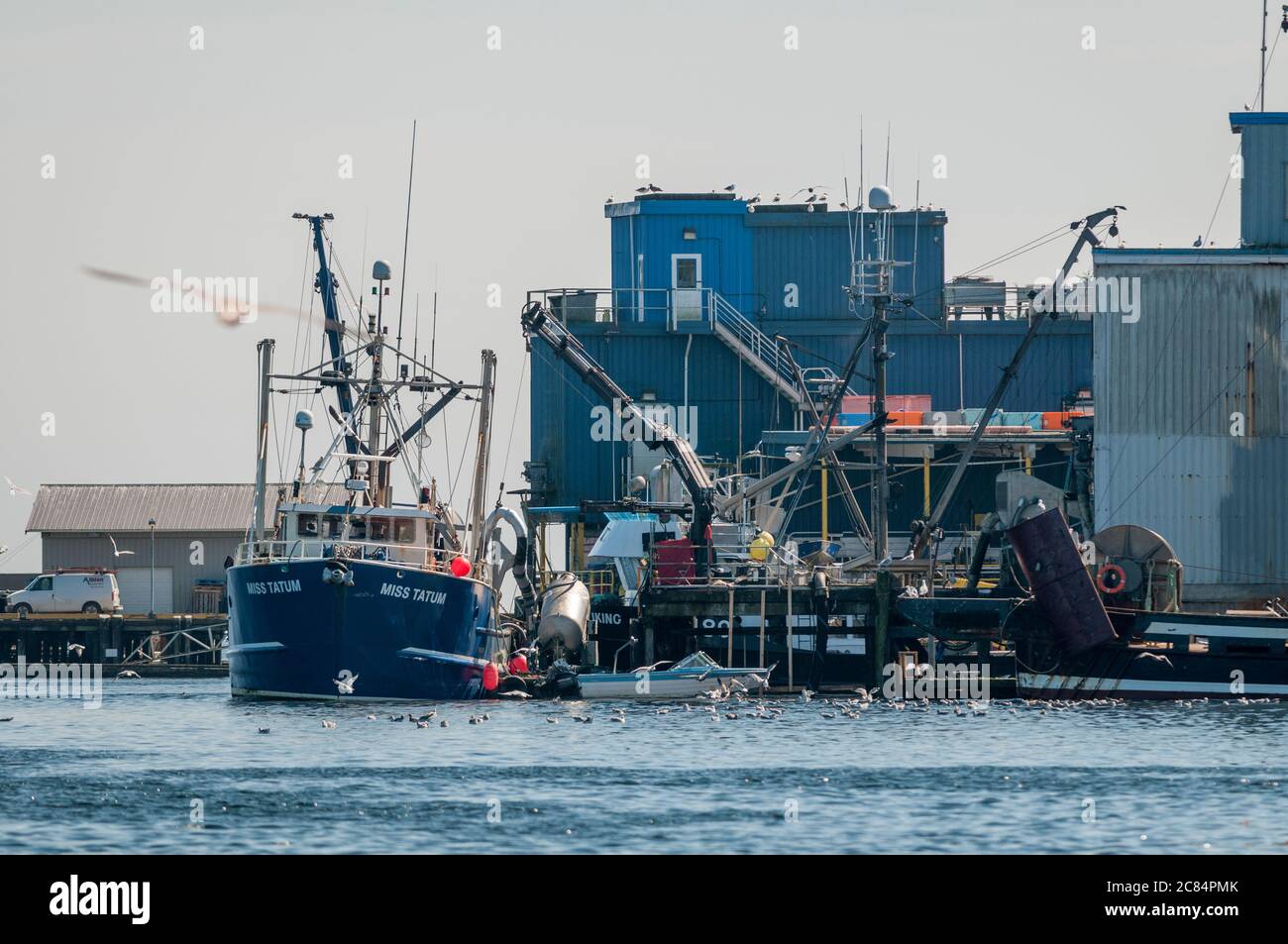 Fish canneries, Ucluelet, Vancouver Island, British Columbia, Canada ...