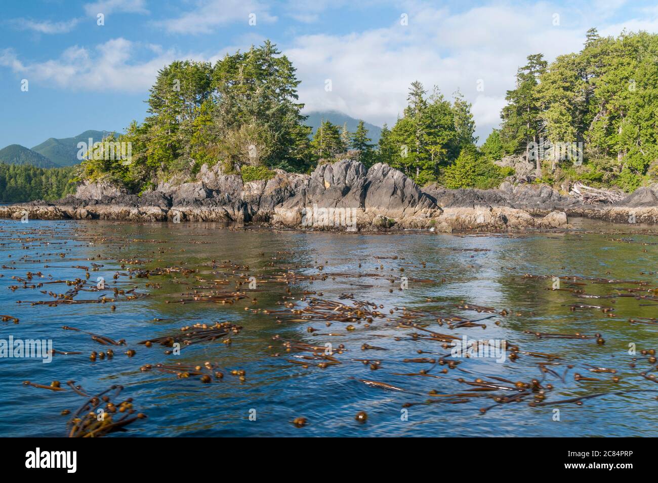 Tidal pool british columbia hi-res stock photography and images - Alamy