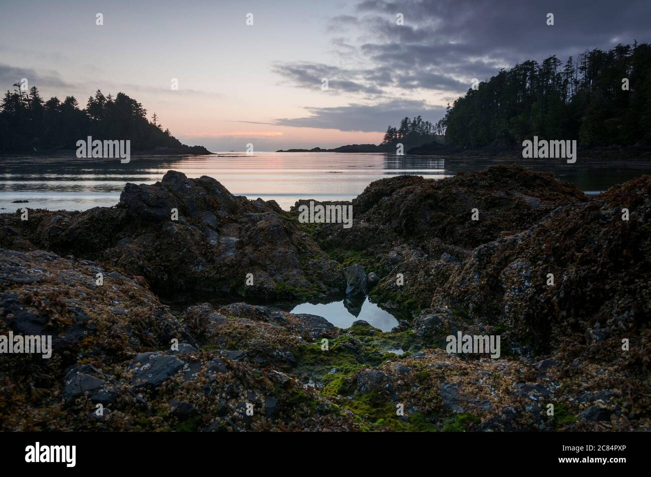 Terrace Beach, Ucluelet, Vancouver Island, British Columbia, Canada ...