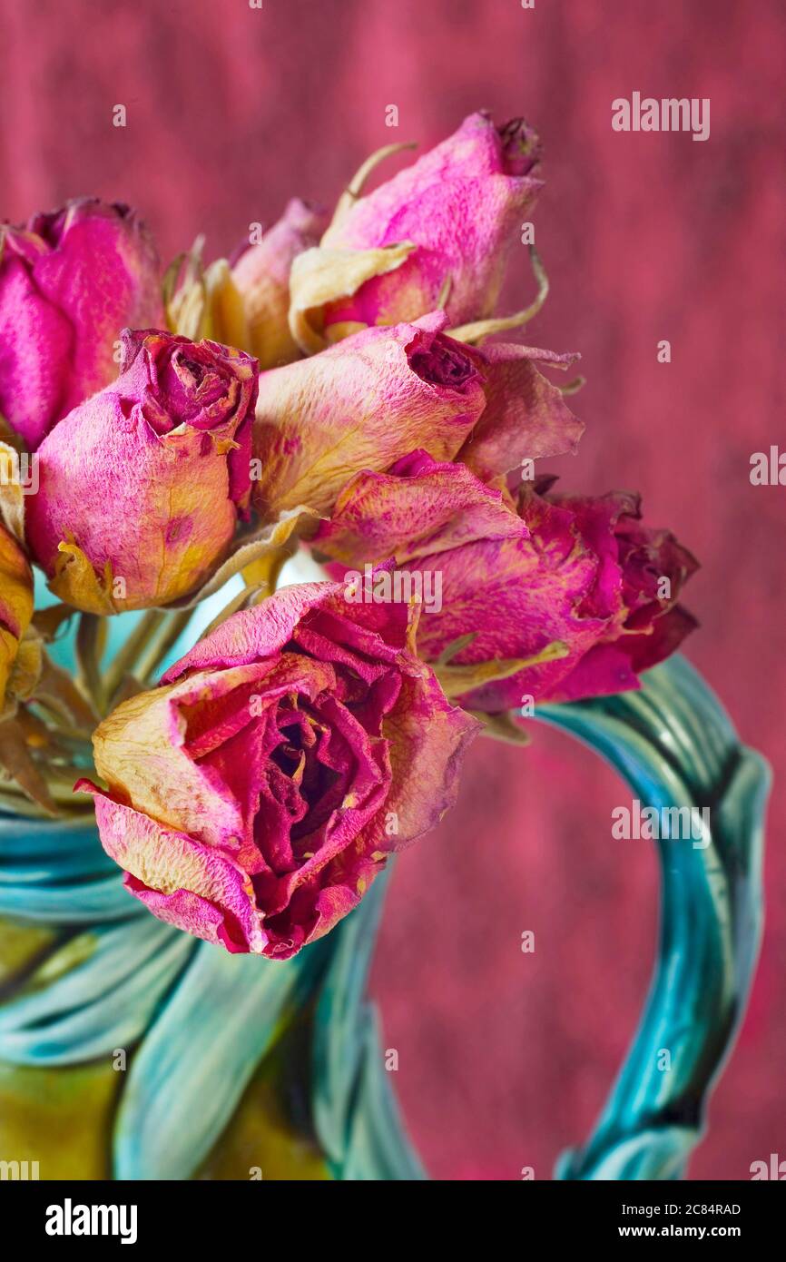 Selective flower hi-res stock photography and images - Alamy