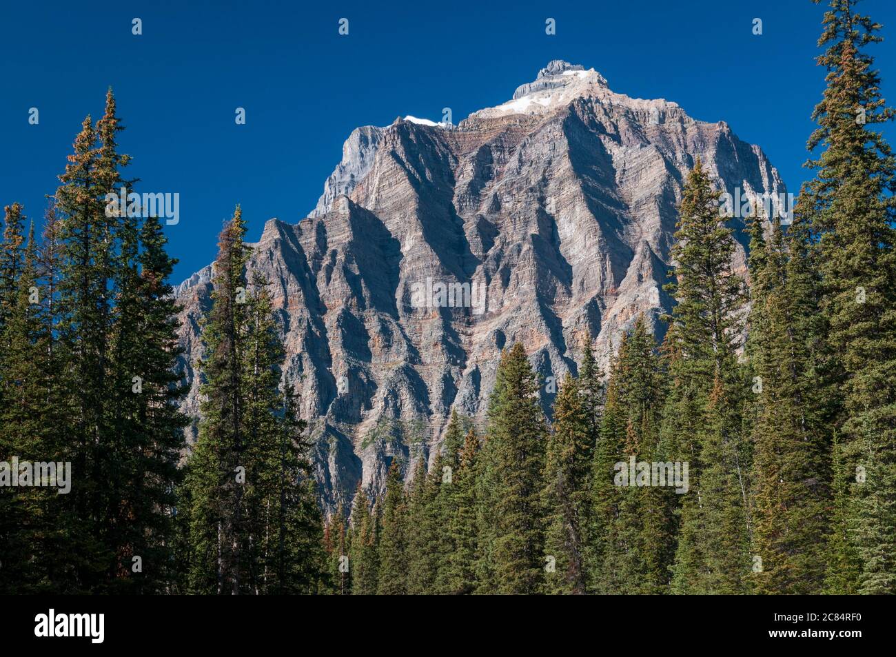 Mount Temple, Lake Louise, Alberta, Canada Stock Photo - Alamy