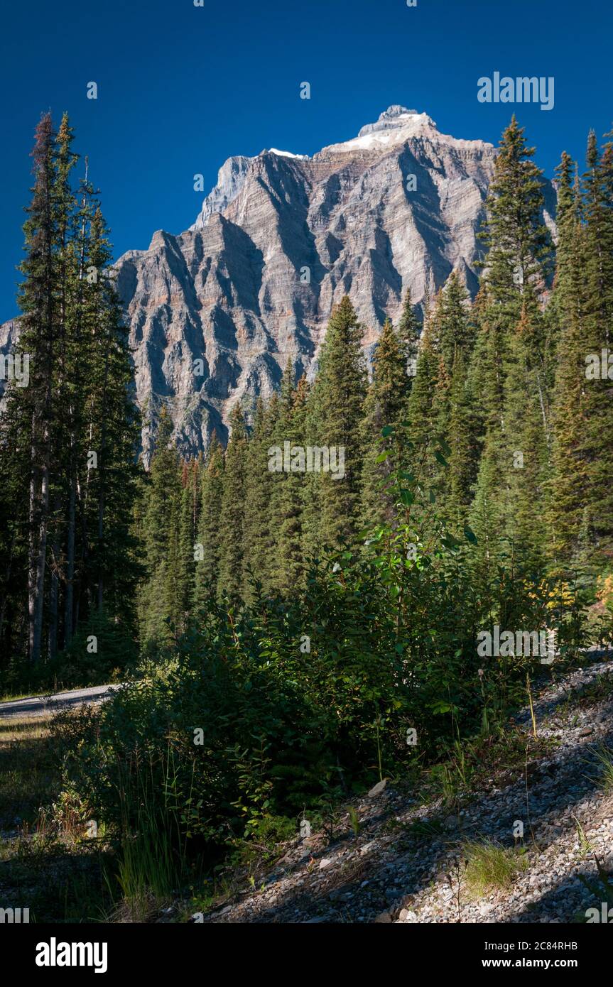Mount Temple Banff National Park High Resolution Stock Photography and ...