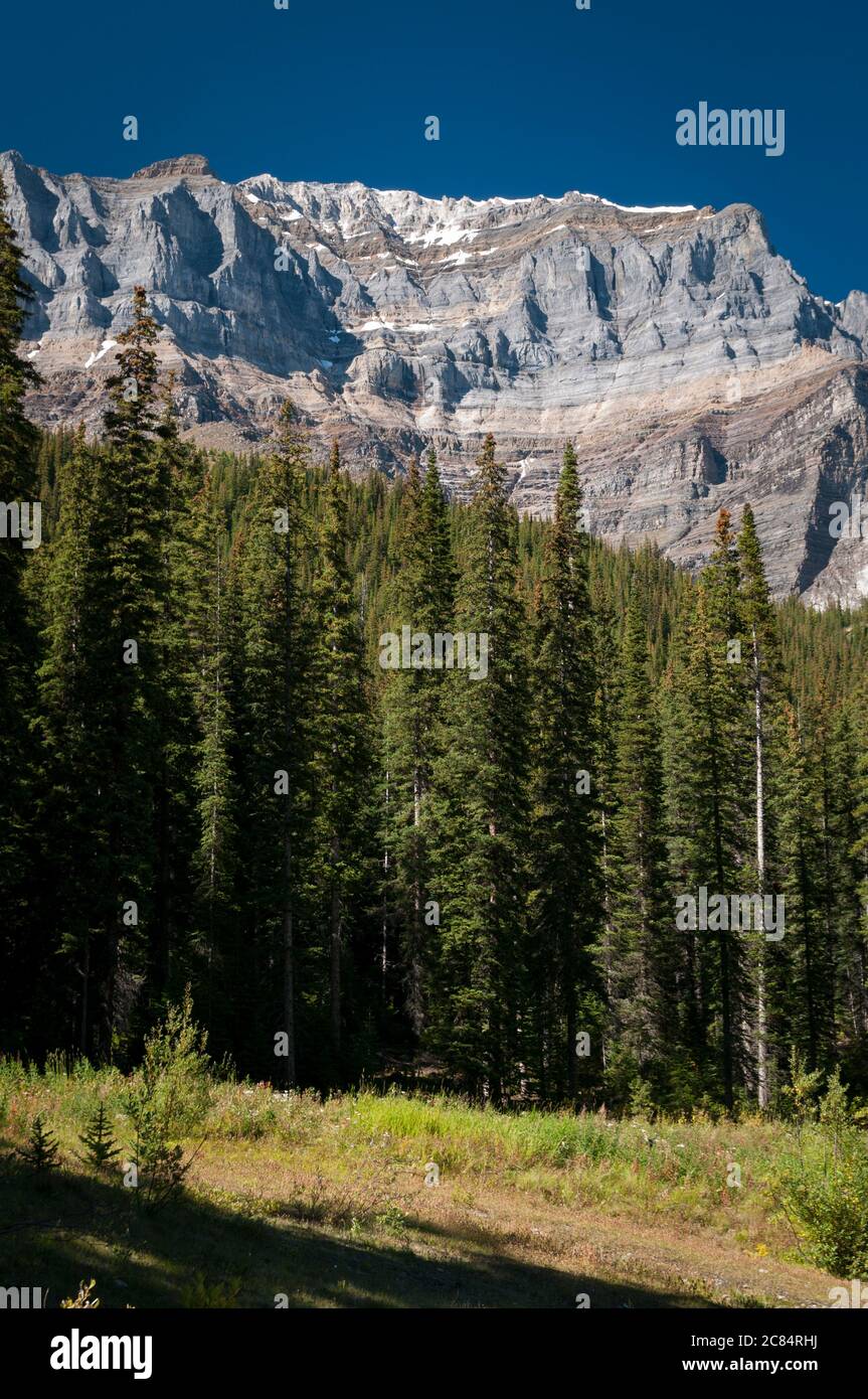 Temple mountain banff national park hi-res stock photography and images ...