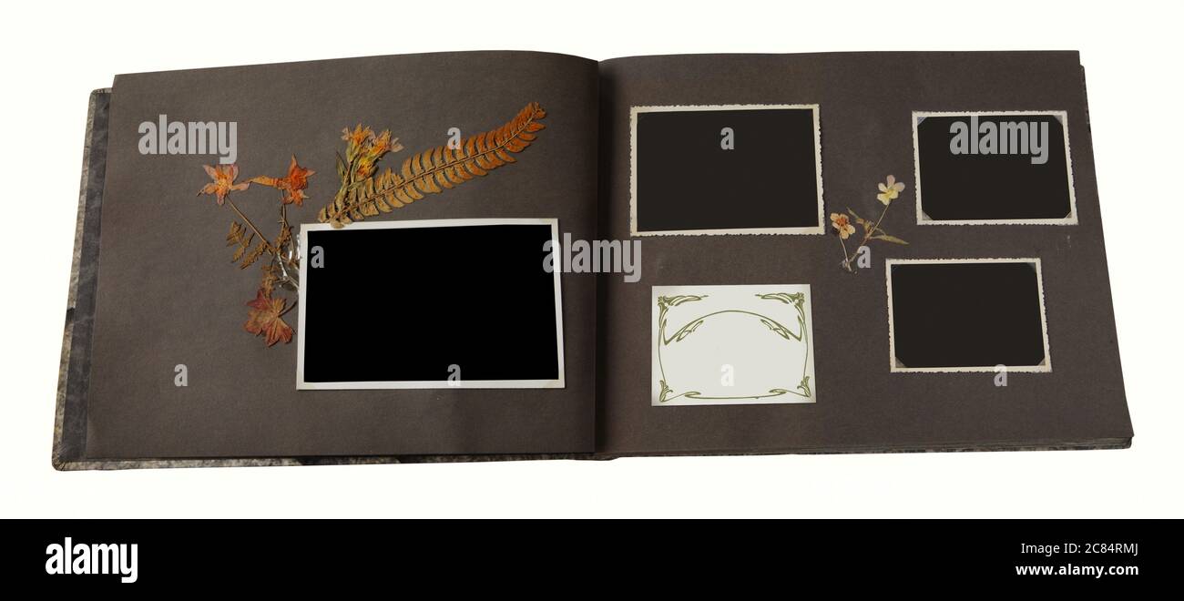 Old photography album paper texture hi-res stock photography and images ...