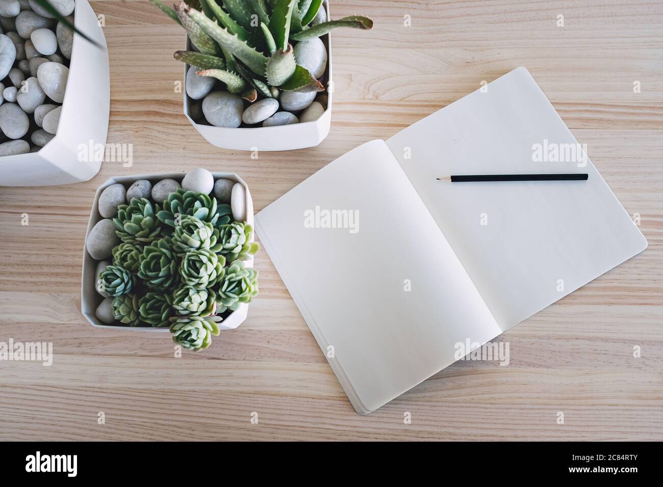 Writing concept in minimalism concept Stock Photo - Alamy