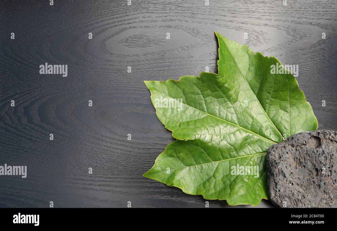 Creeper leaf hi-res stock photography and images - Alamy