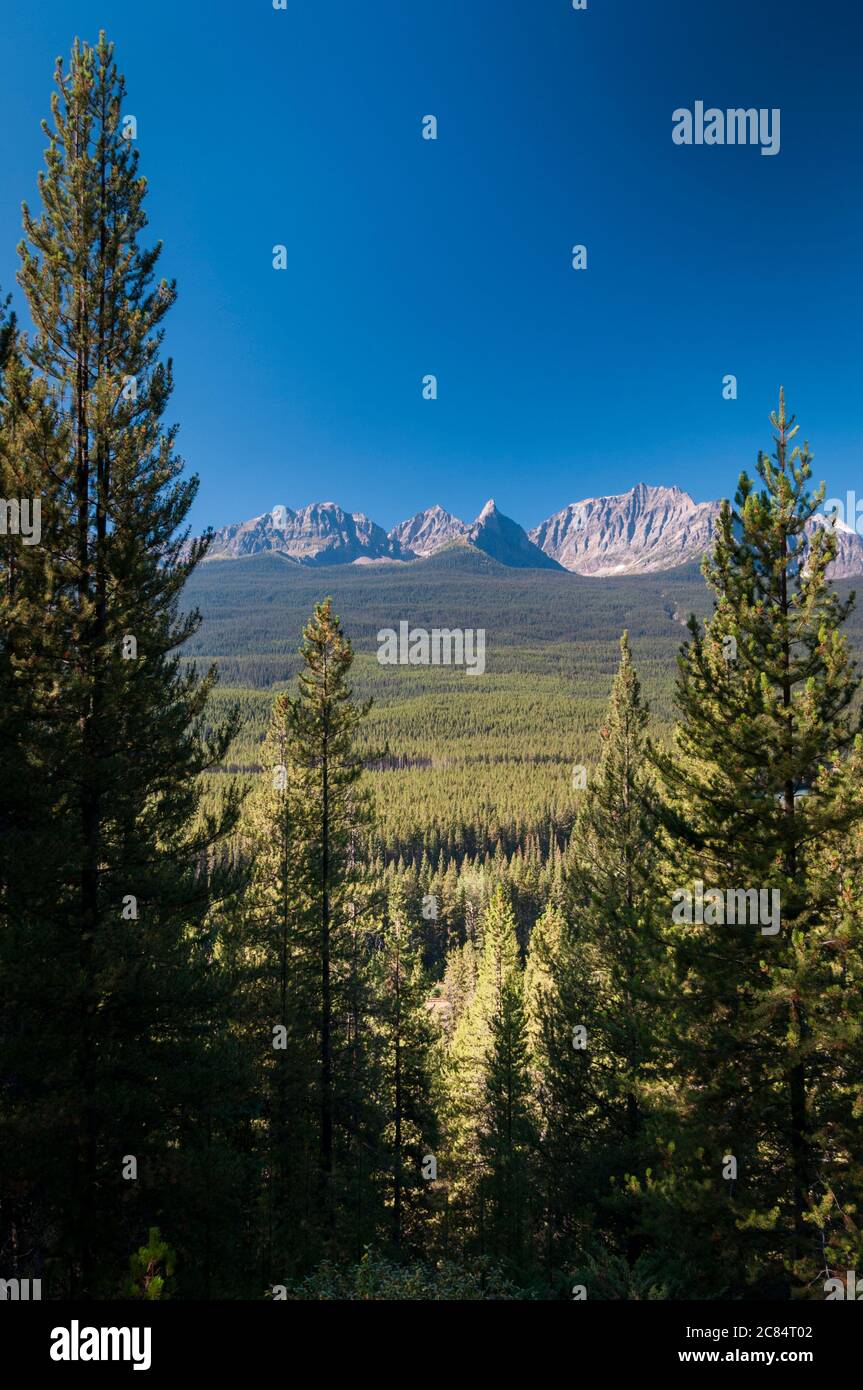 Mount Bell and the southern end of Panorama Ridge, Alberta, Canada ...