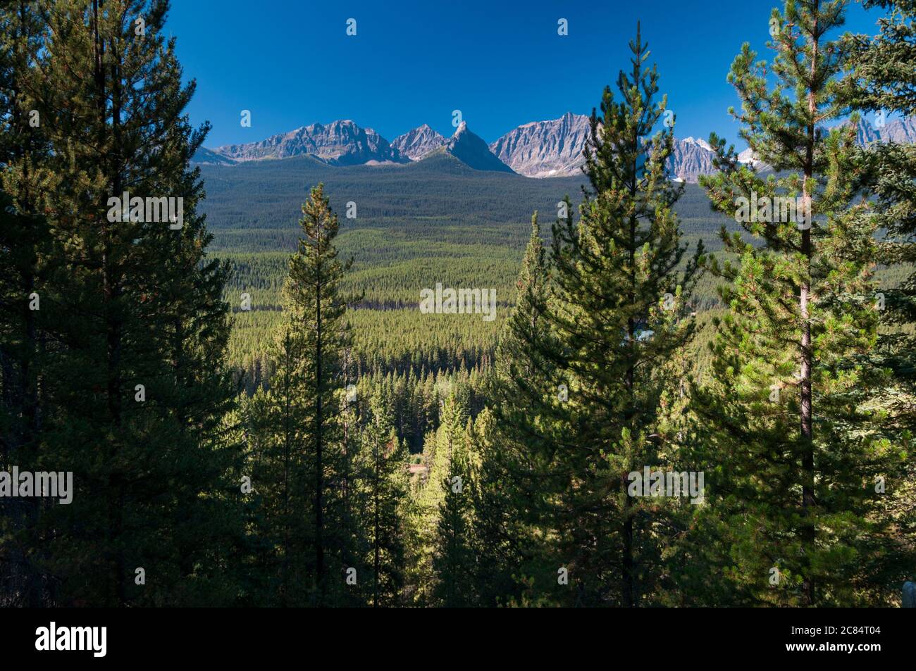 Mount Bell and the southern end of Panorama Ridge, Alberta, Canada ...