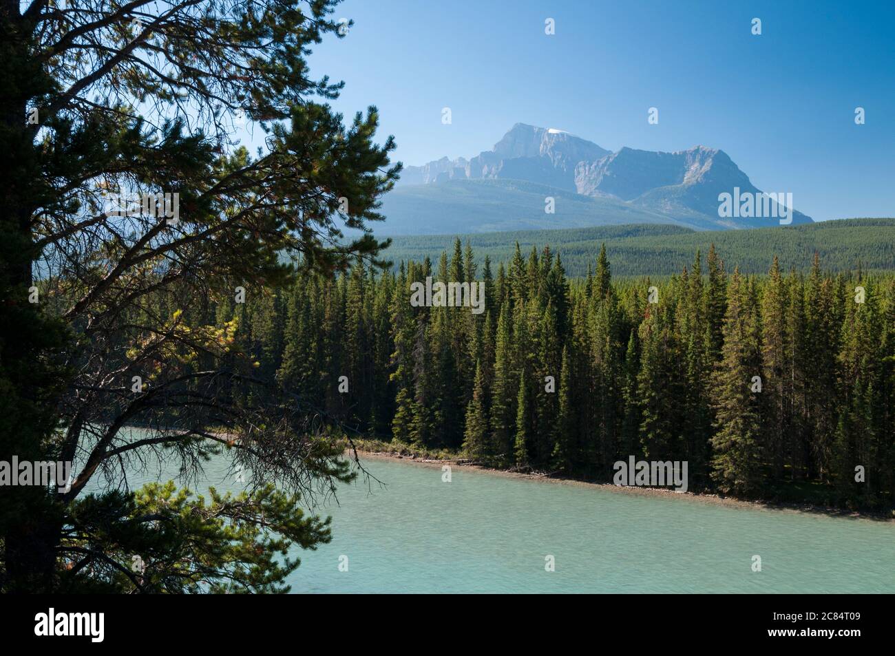 Bow River and Storm Mountain, Alberta, Canada Stock Photo - Alamy