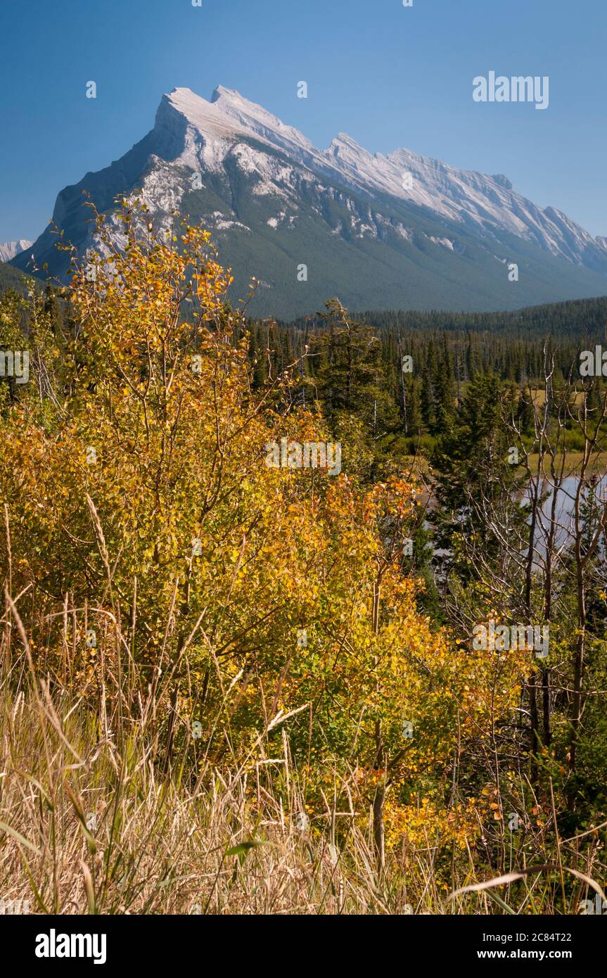 Mount Rundle, Banff, Alberta, Canada Stock Photo - Alamy