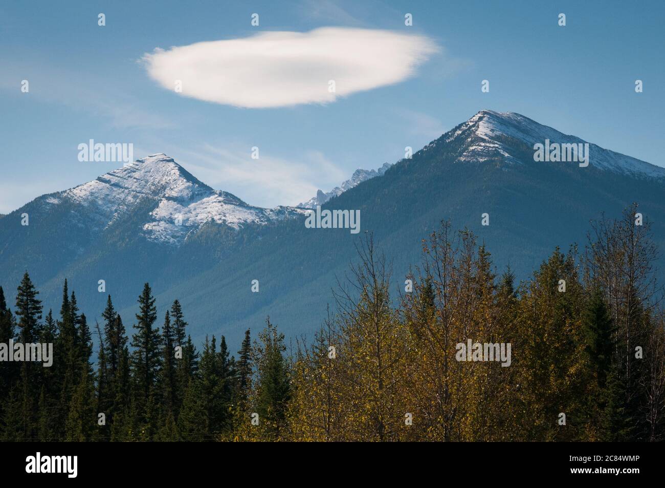 Mackay country hi-res stock photography and images - Alamy
