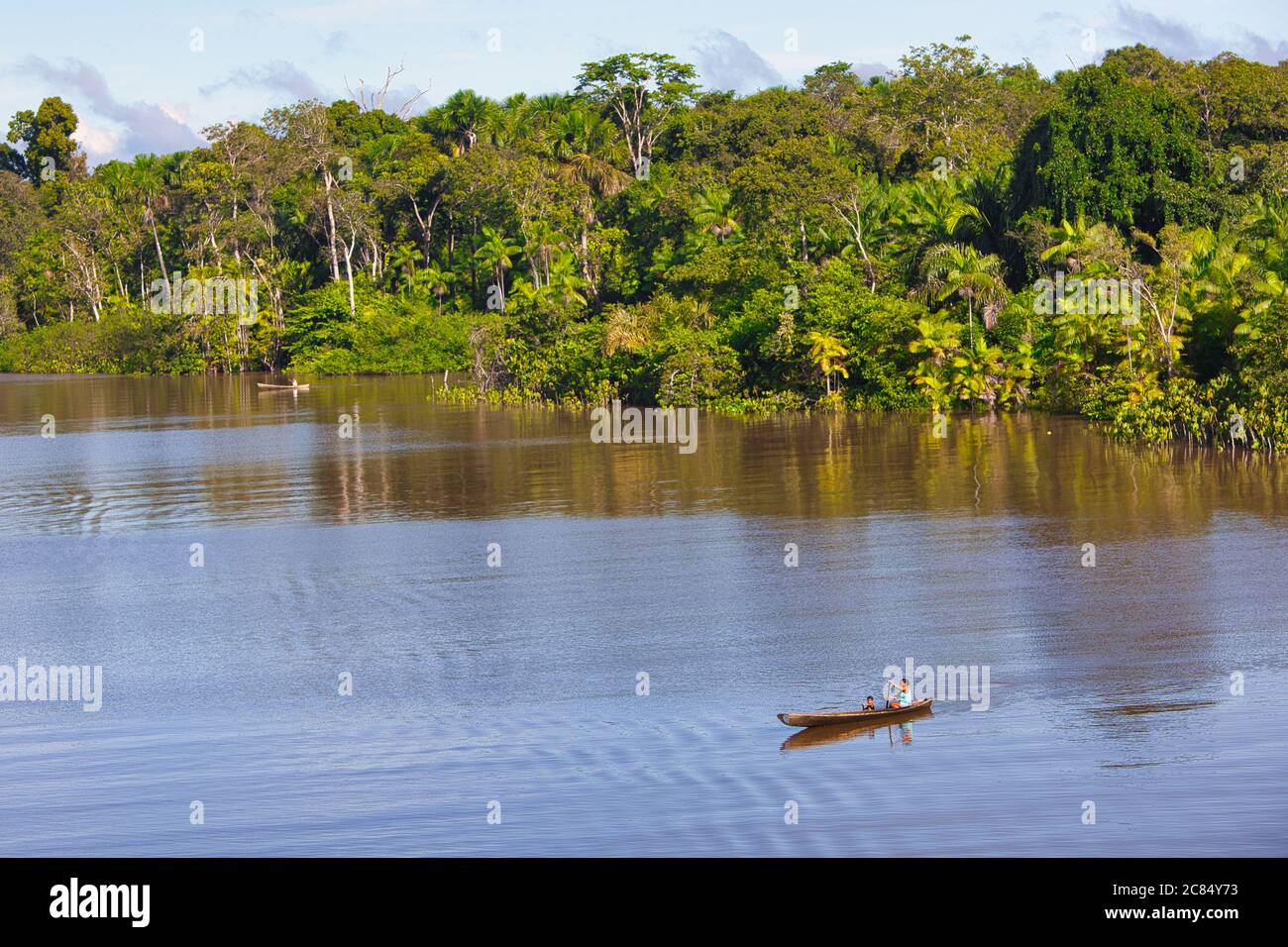 A person in an open top wooden canoe on the River Amazon with riverbank ...