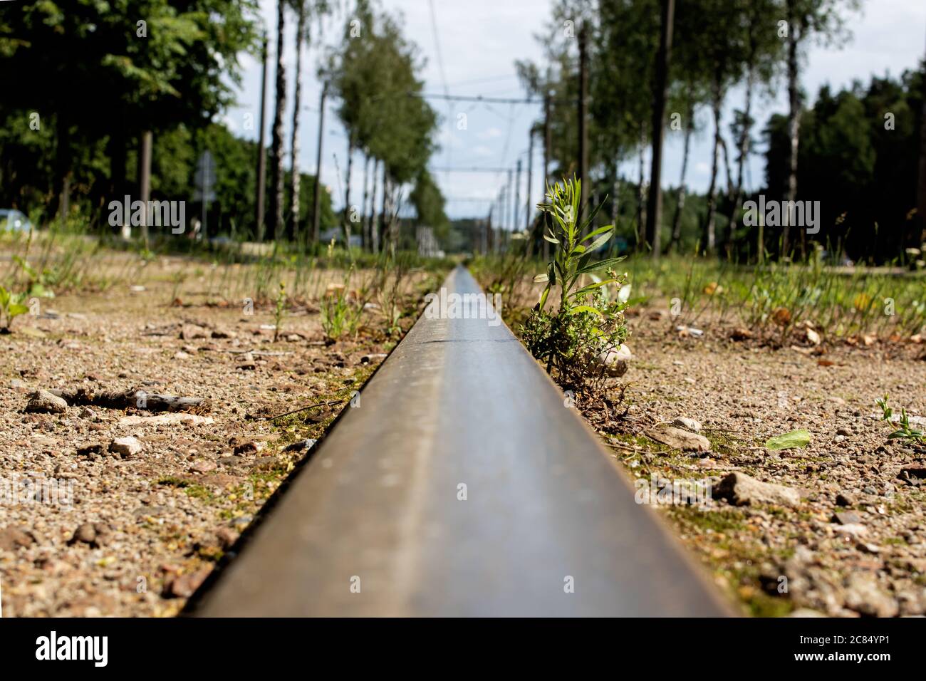 Tram rail among green grass close up, bottom view Stock Photo - Alamy