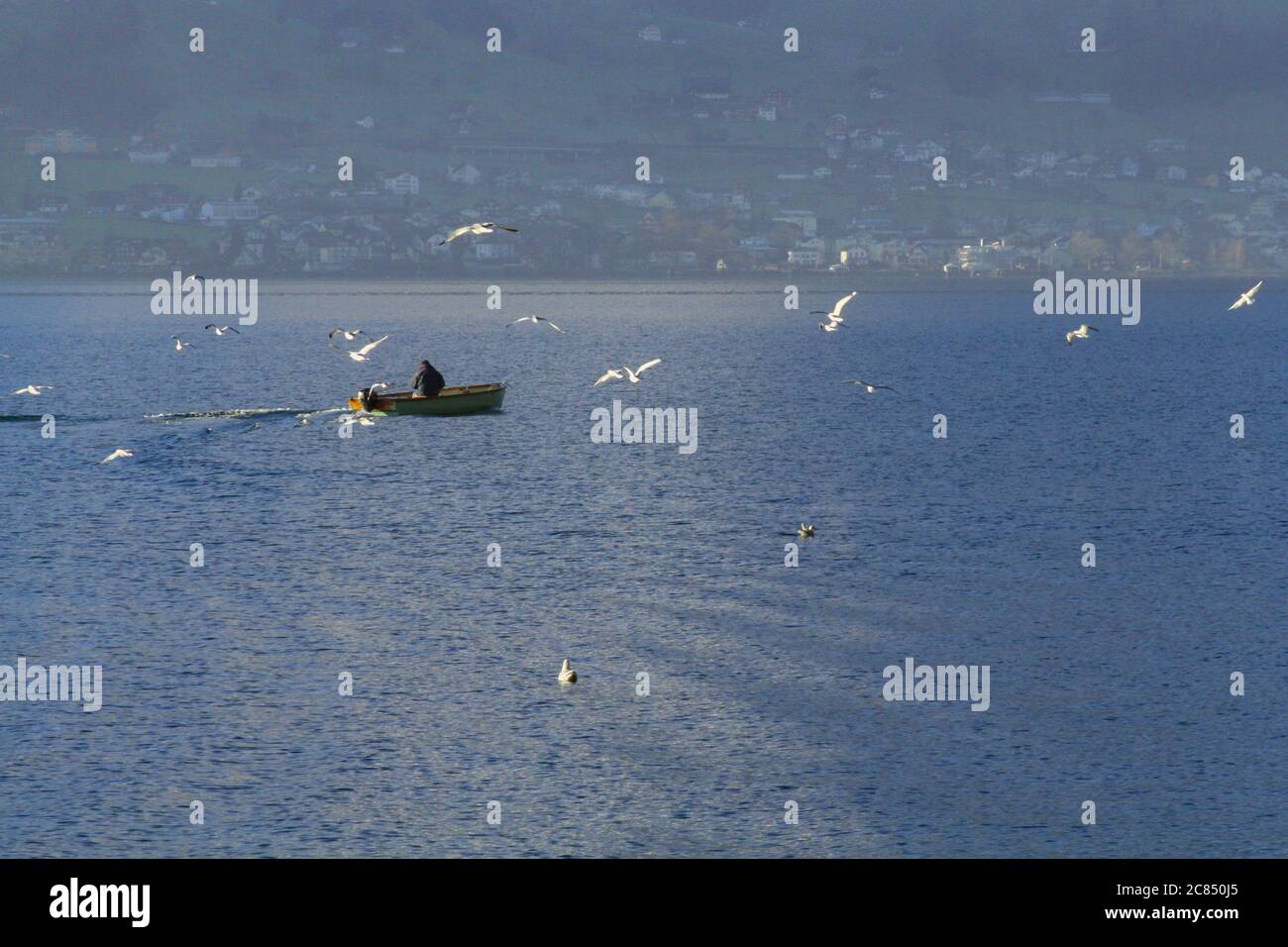 Switzerland lake lucerne hi-res stock photography and images - Alamy