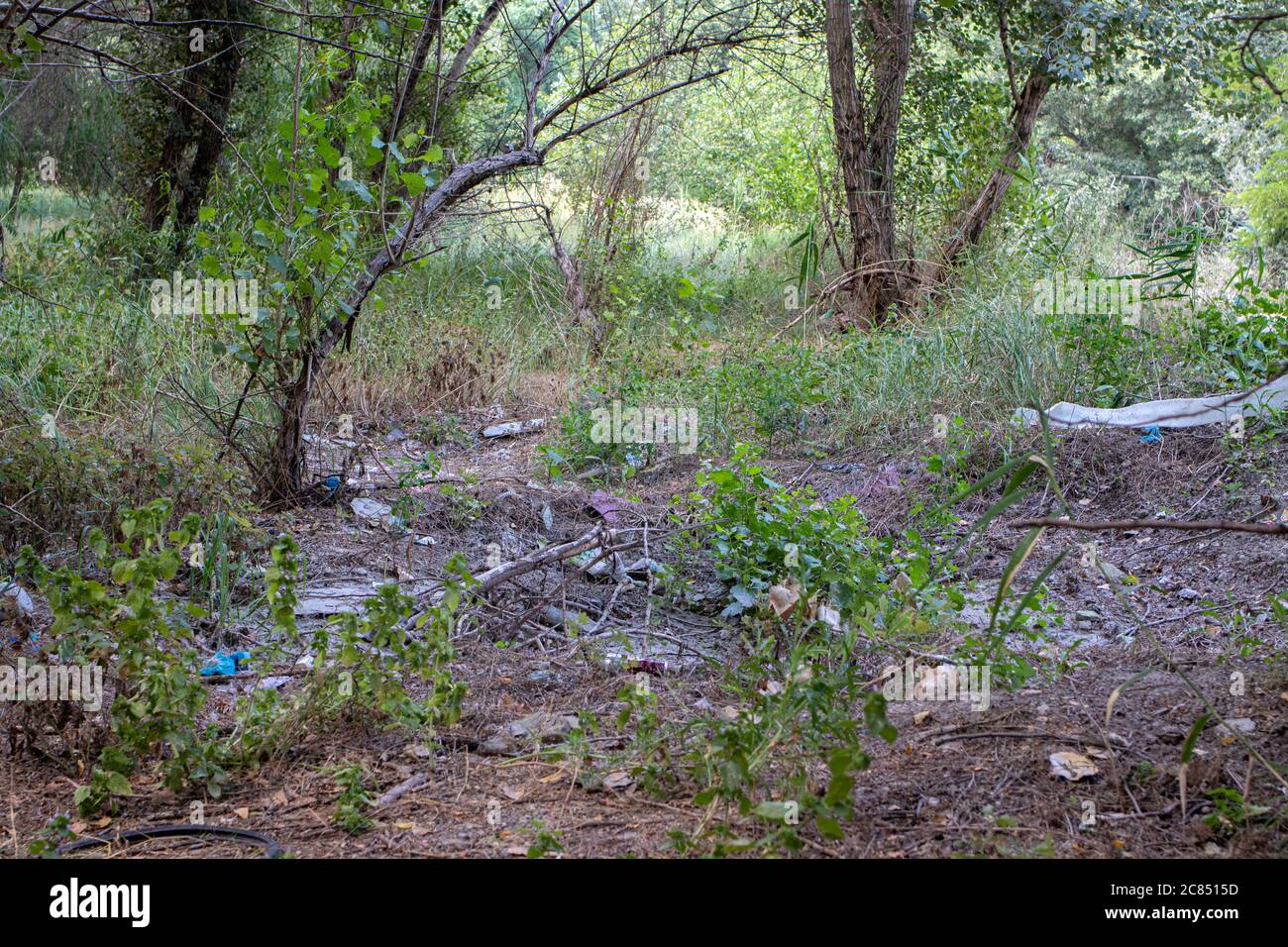 Heaps of dirty garbage rubbish in nature, pollution, plastic. Human ...