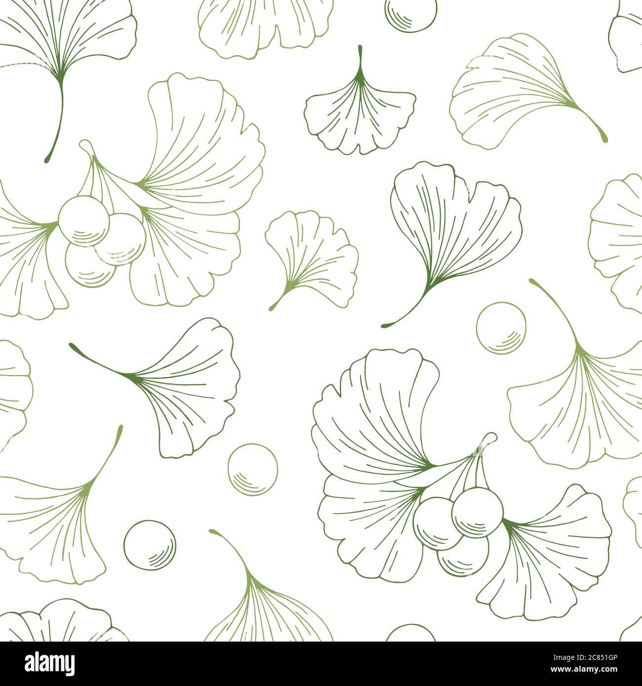 Ginkgo biloba plant graphic color seamless pattern background sketch ...