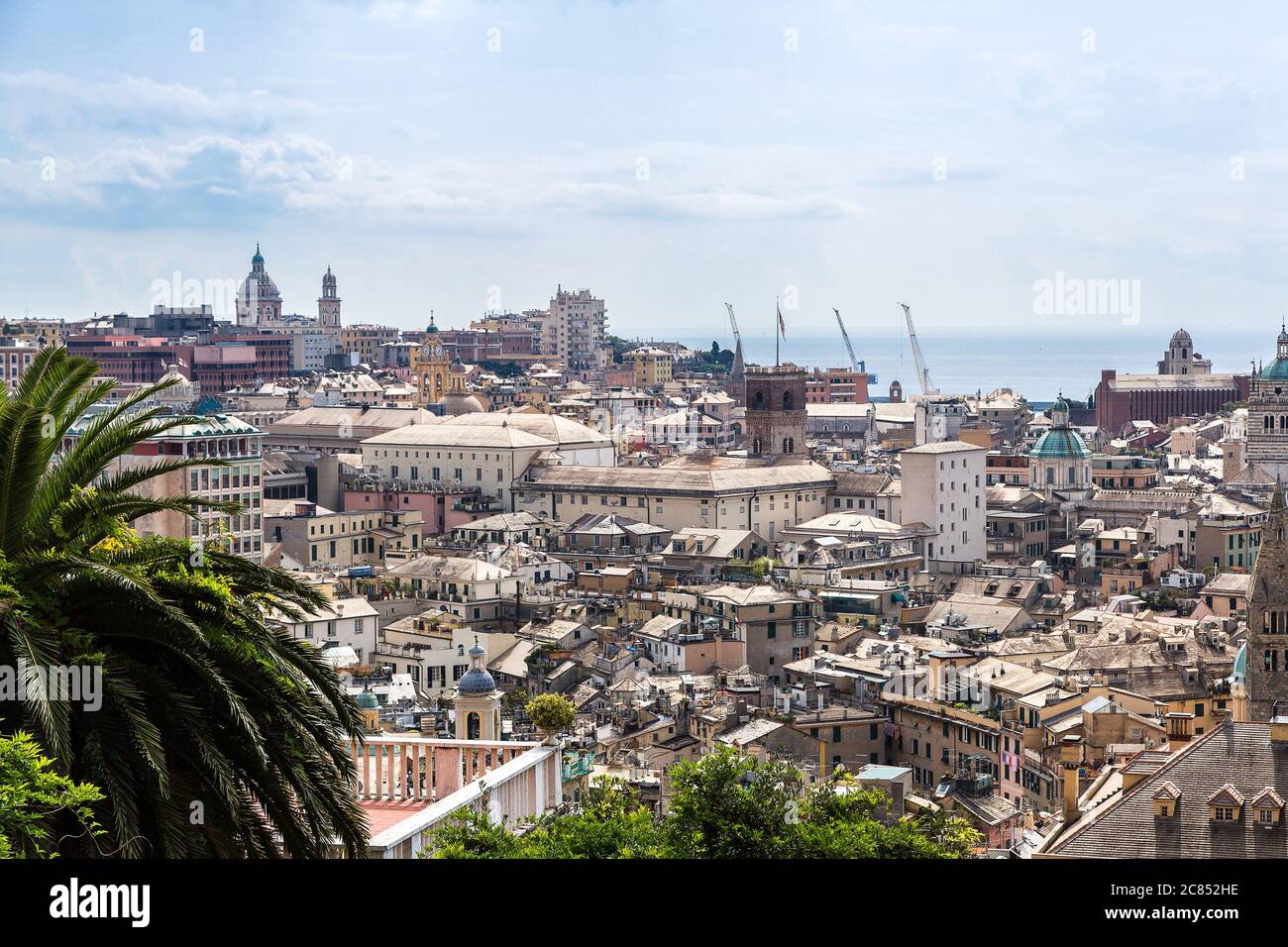 Panoramic view port of Genoa in a summer day, Italy Stock Photo - Alamy