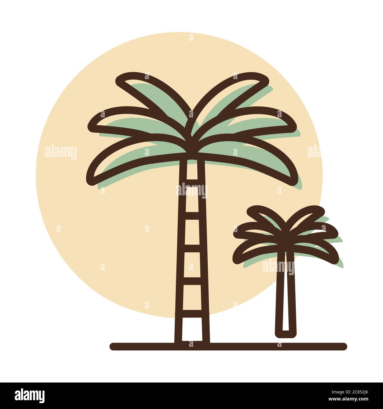 Palm tree vector icon. Nature sign. Graph symbol for travel and tourism ...