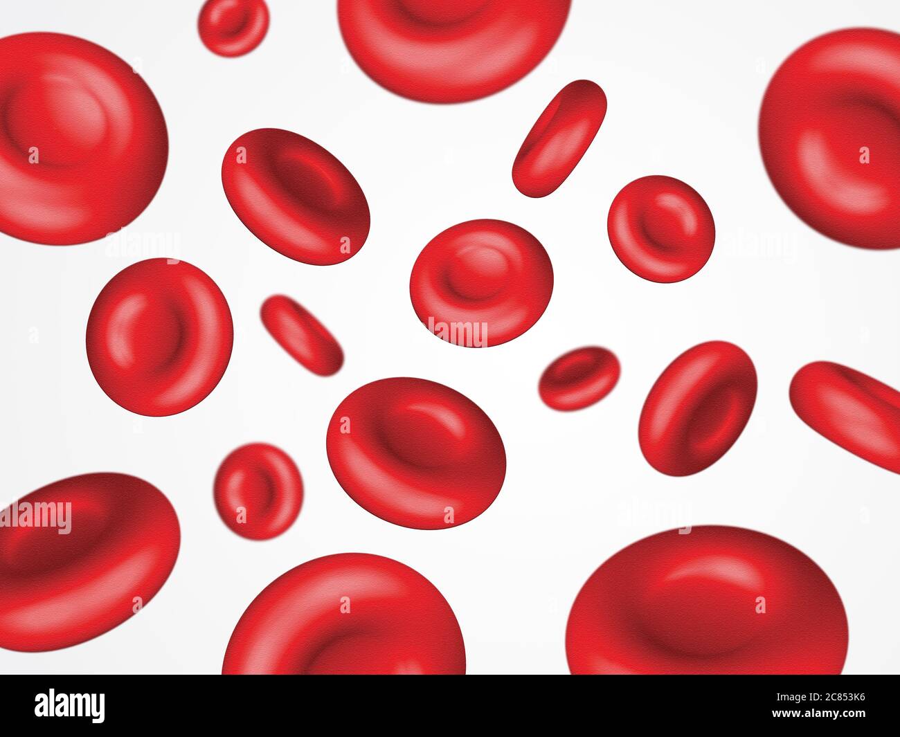 Red blood cells isolated Stock Photo - Alamy