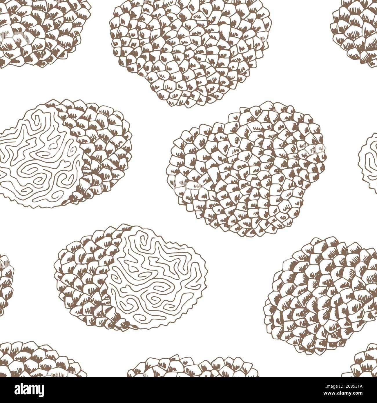 Truffle Mushrooms Graphic Color Seamless Pattern Background Sketch Illustration Vector Stock