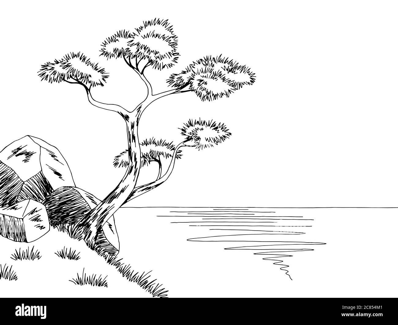 Pine tree sea coast graphic black white landscape sketch illustration ...