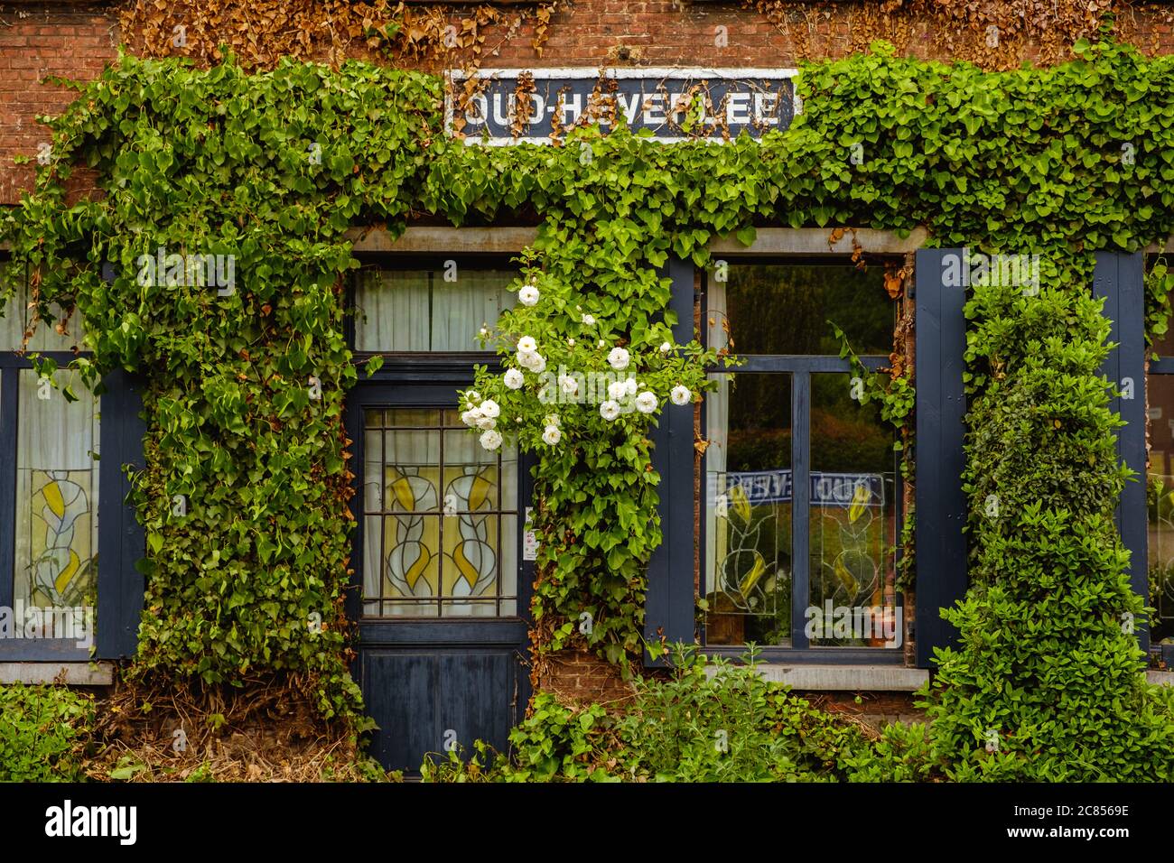 Oud-Heverlee, Flanders, Belgium - May 31 2019 : close-up detail image ...