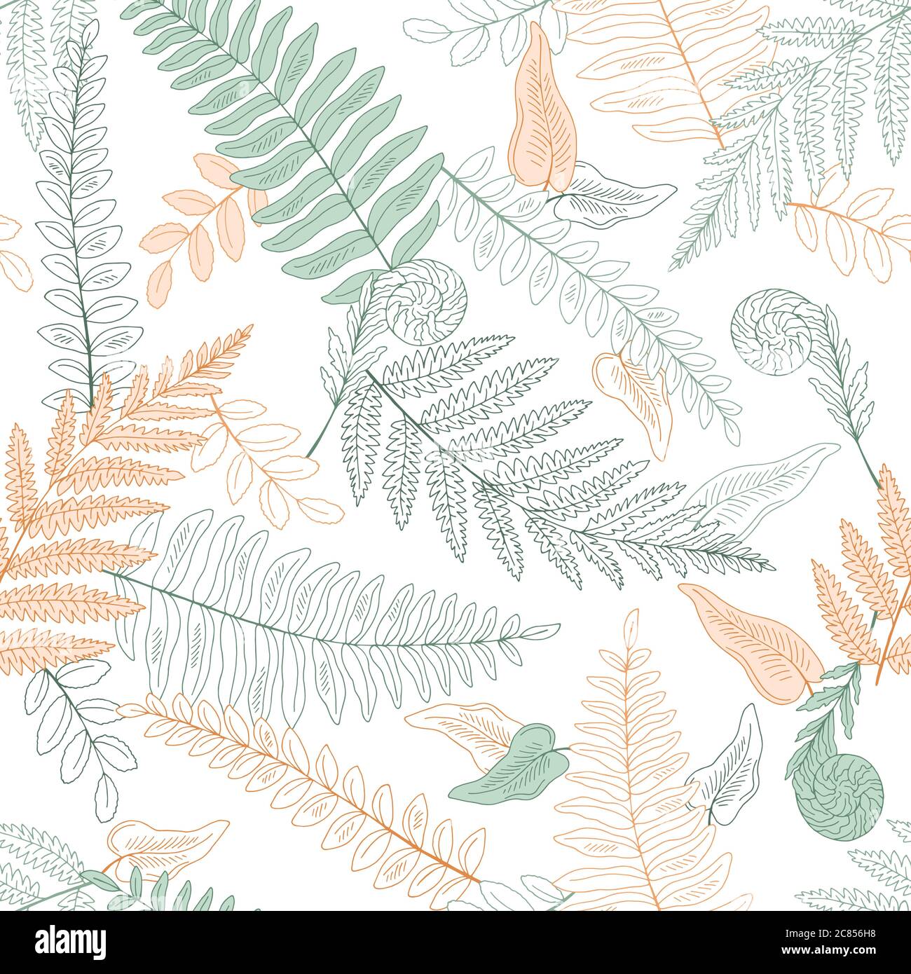 Fern plant graphic color seamless pattern background sketch ...