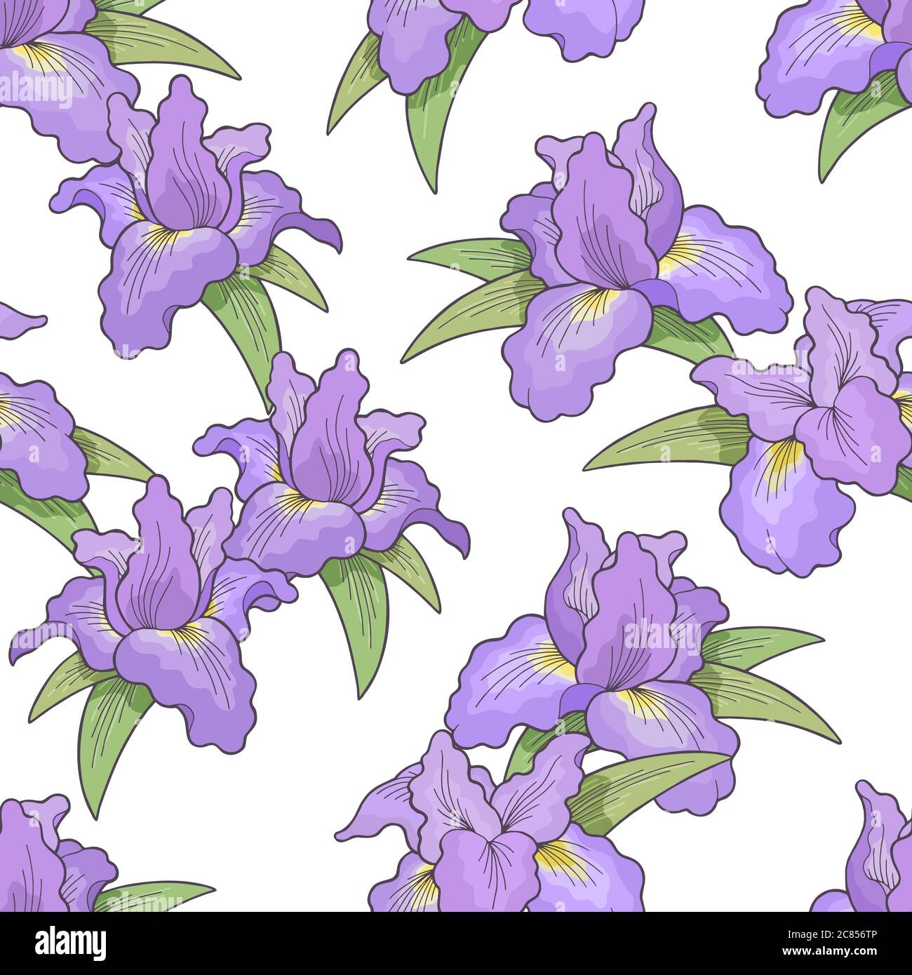 Iris Stock Vector Images - Alamy