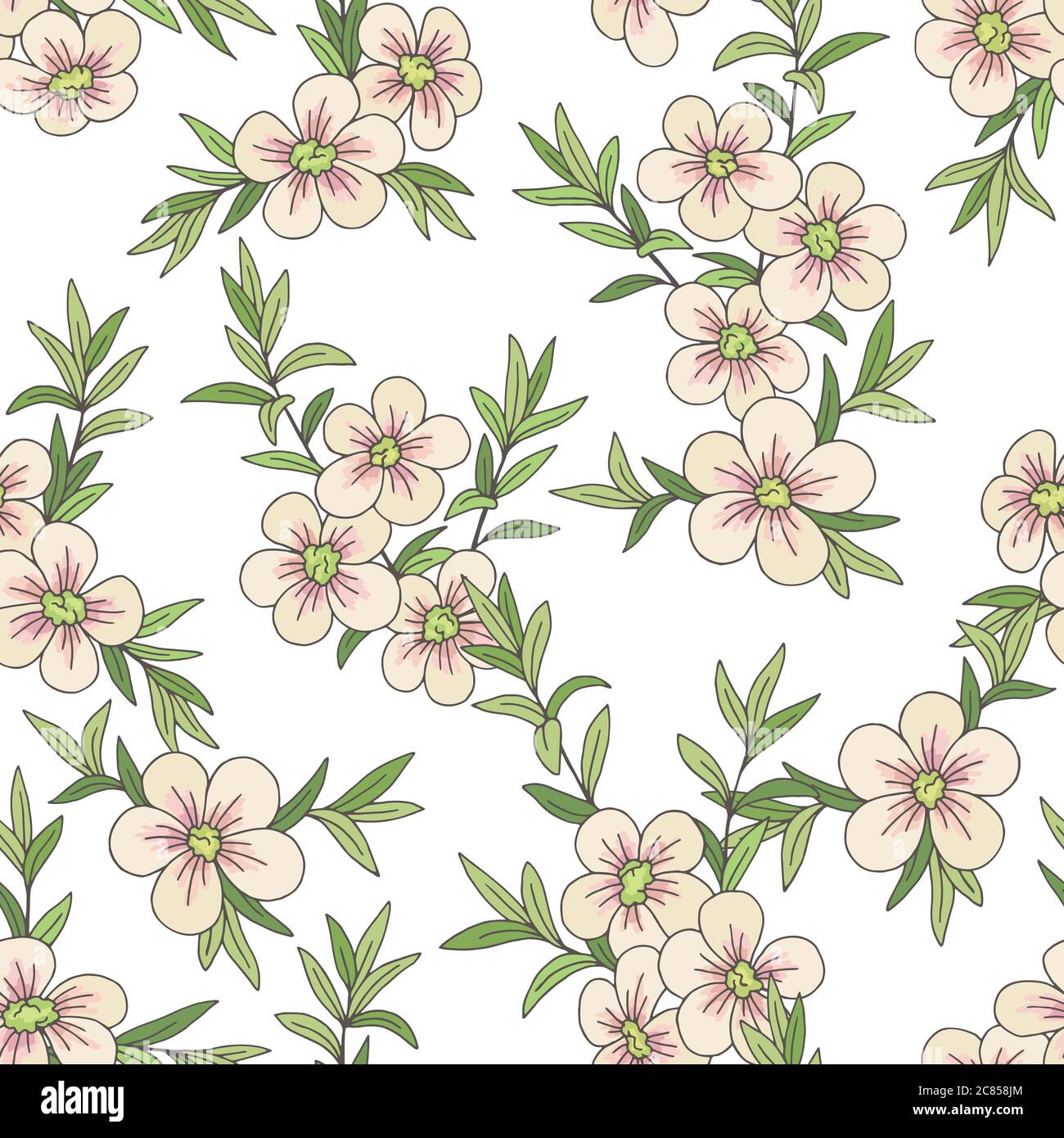 Manuka flower graphic color seamless pattern background sketch ...