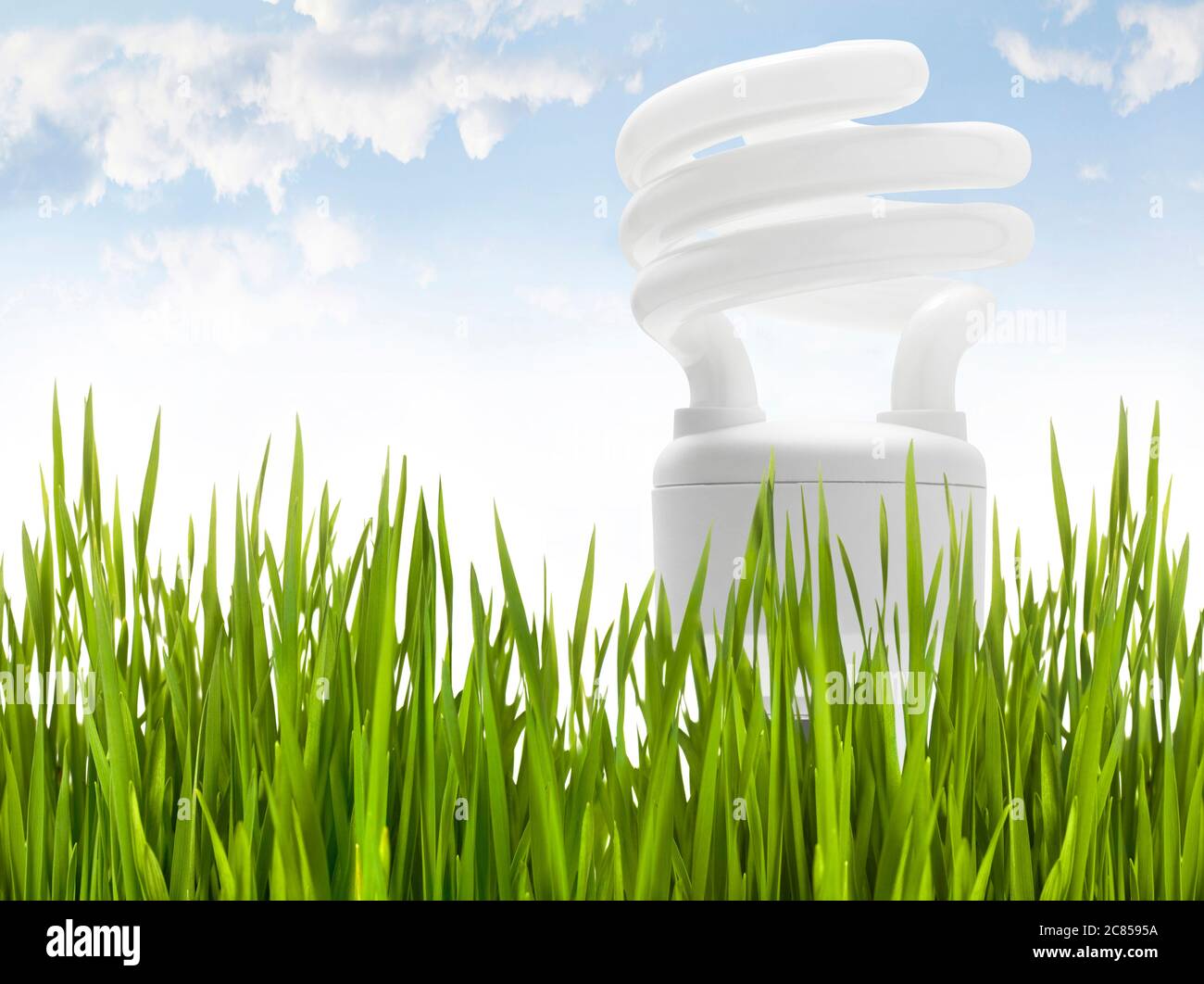 Spiral grass blade hi-res stock photography and images - Alamy