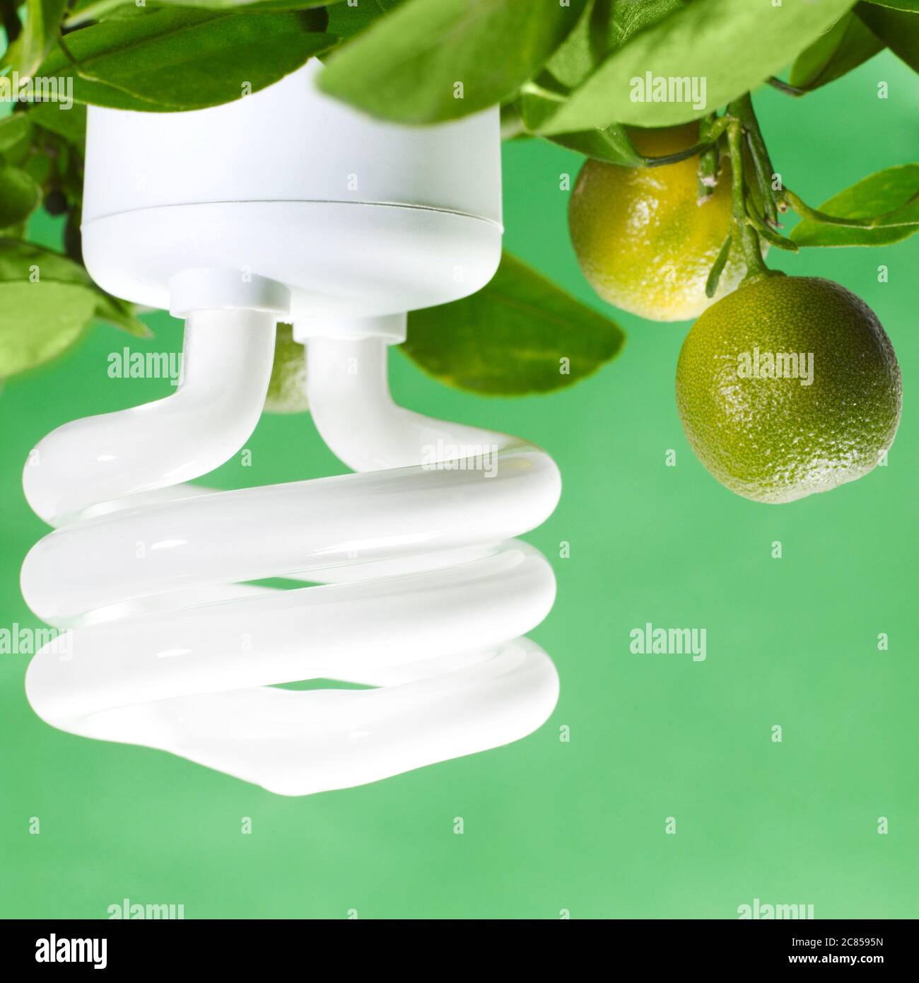 Eco-friendly light bulb Stock Photo - Alamy