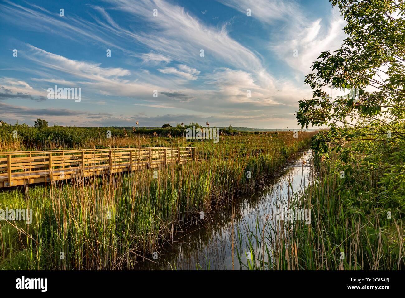 Estonia High Resolution Stock Photography and Images - Alamy