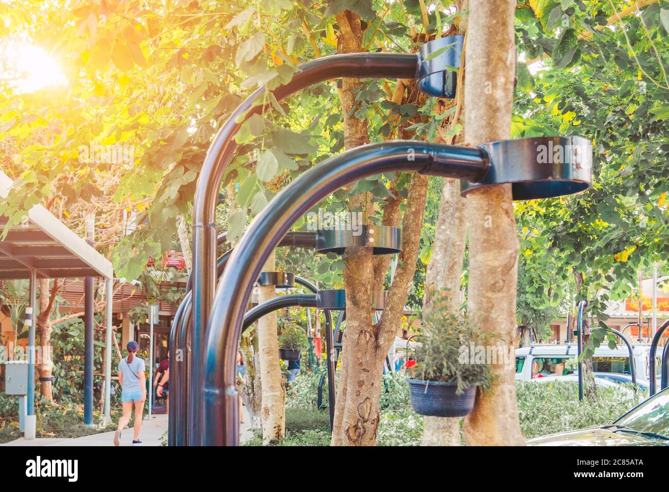 Black steel column supports and controls the branches and trunks of the ...