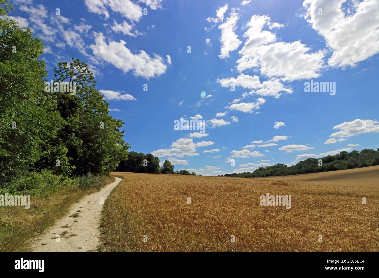 Ashtead Surrey England, UK. 21st July, 2020. Fairweather clouds and ...
